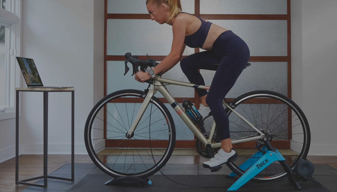 Exploring the World of In-Home Trainers